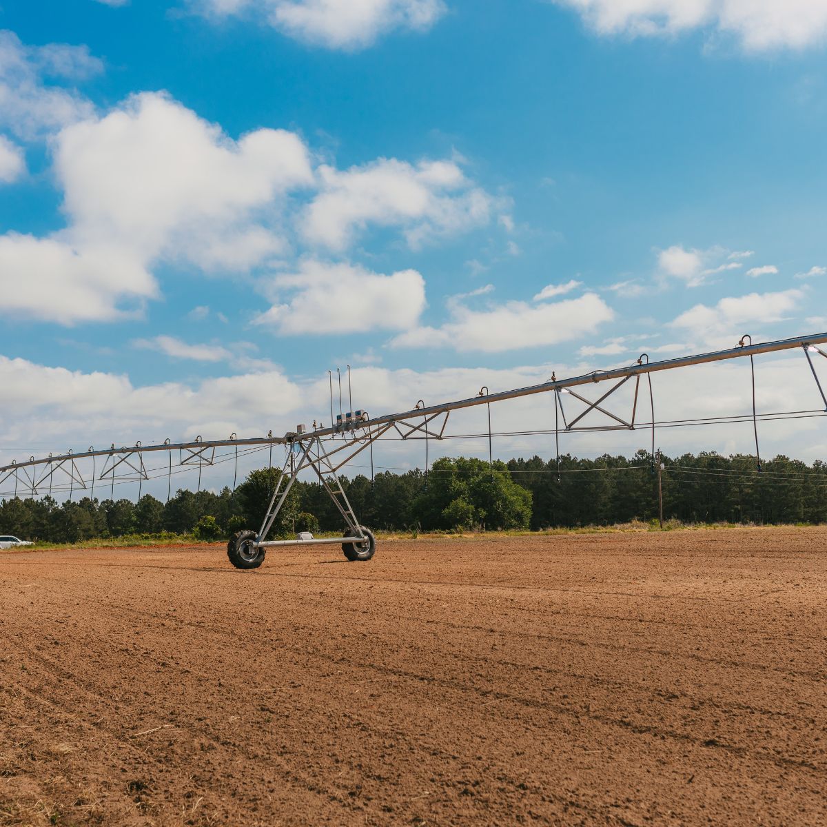 UGA Grand Farm